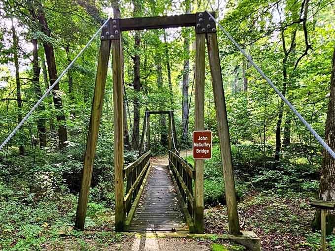 This charming suspension bridge beckons you into the woods like something straight out of a Spielberg film's opening scene.