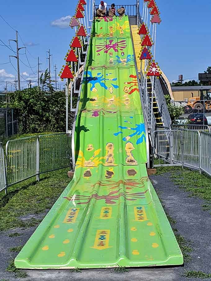 This giant slide delivers the kind of pure, screaming joy that makes you forget about your mortgage payments.