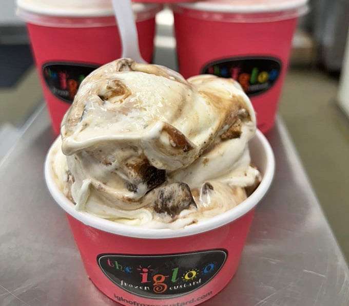 Brookie custard swirls brownie and cookie into frozen heaven, proving some marriages are meant to be.