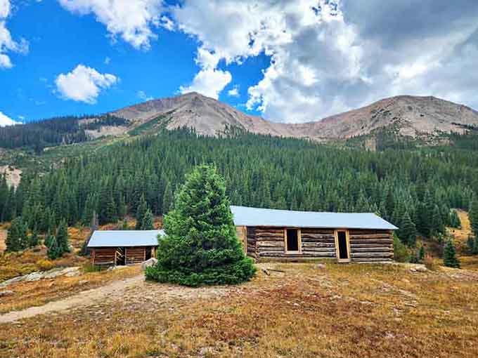 Two cabins that have weathered more Colorado winters than your complaining neighbor who won't stop talking about 1982.
