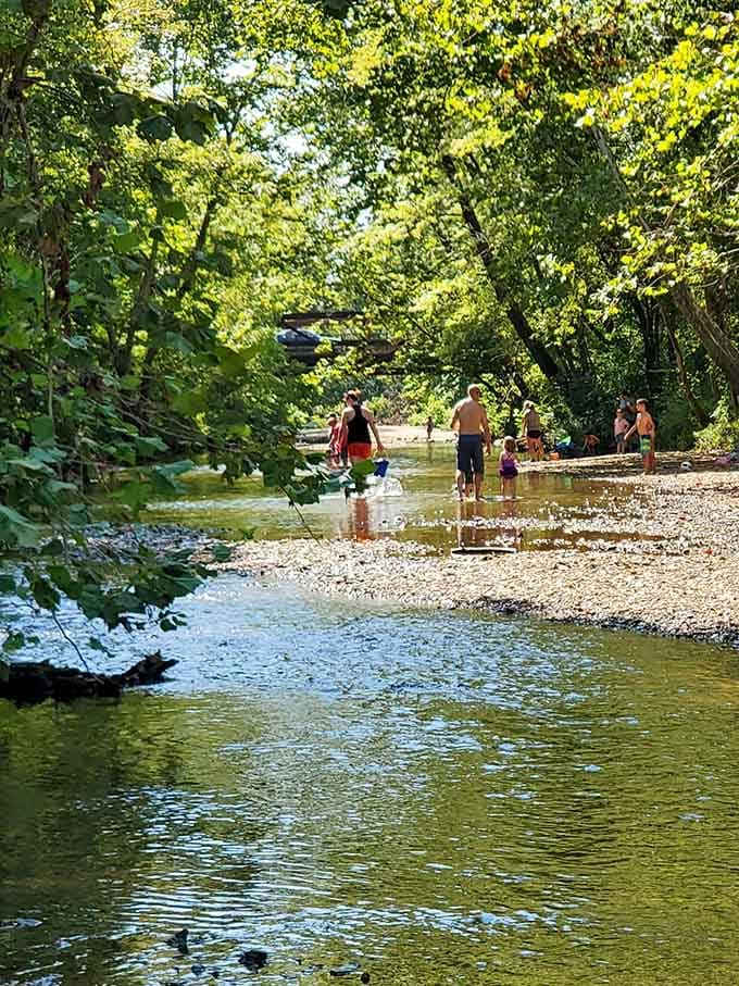 Families enjoy splashing and wading through the cool, refreshing shallow creek waters together on a beautiful, sunny day.