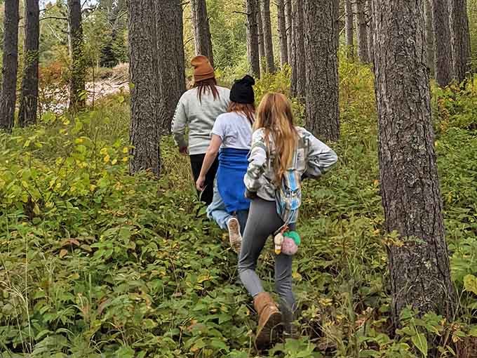 Following the trail through towering pines, adventure awaits just beyond those trees ahead of you.