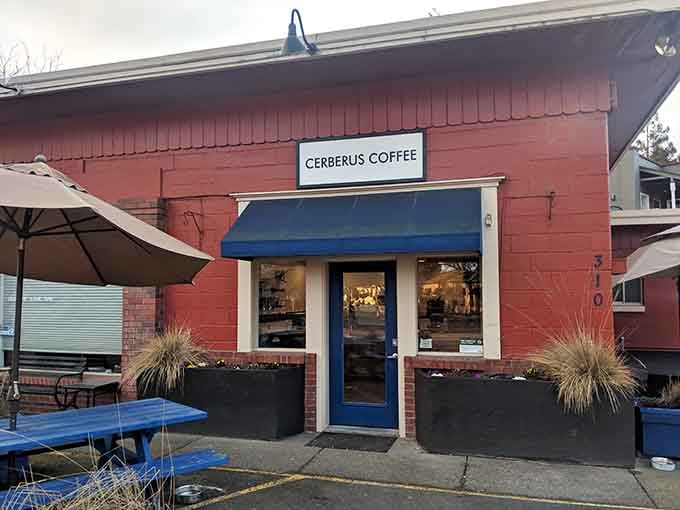 Cerberus Coffee: where your morning brew comes without the three-headed dog, thankfully.