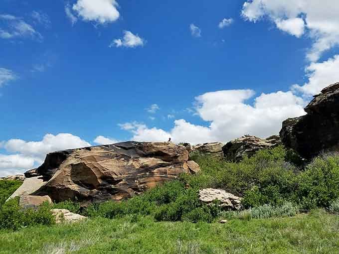 Rock formations pop up unexpectedly, reminding you that even flat landscapes hide geological surprises worth exploring.
