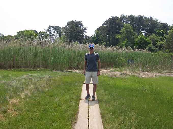 Standing on the boardwalk surrounded by marsh, you're basically in a real-life nature documentary.
