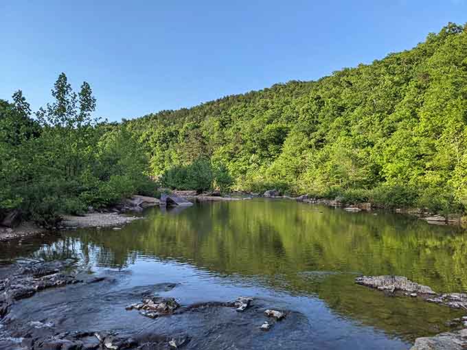The Black River winds through forest so lush, you'll forget you're still in the Midwest.