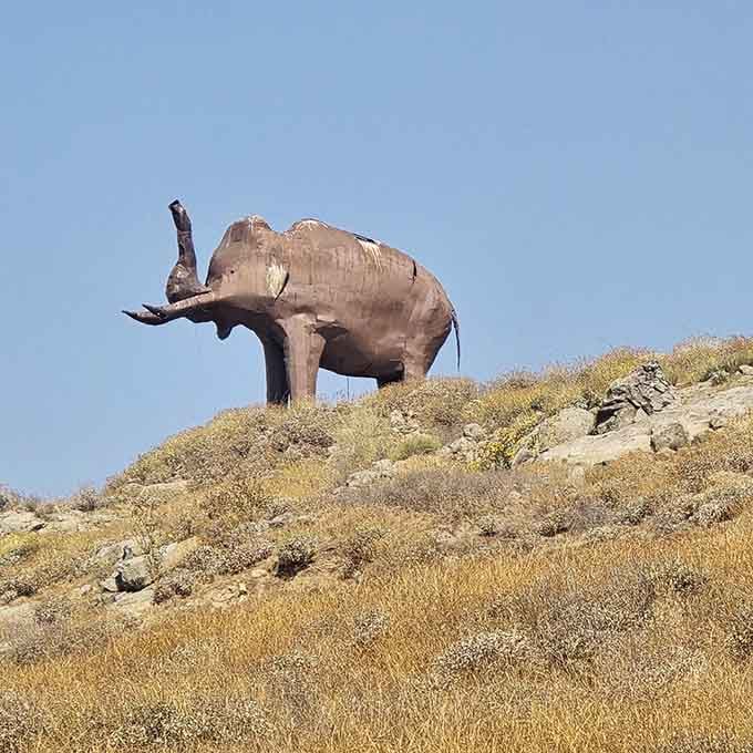 Eddy the Mammoth stands guard on the hillside, proving that size really does matter in the statue world.