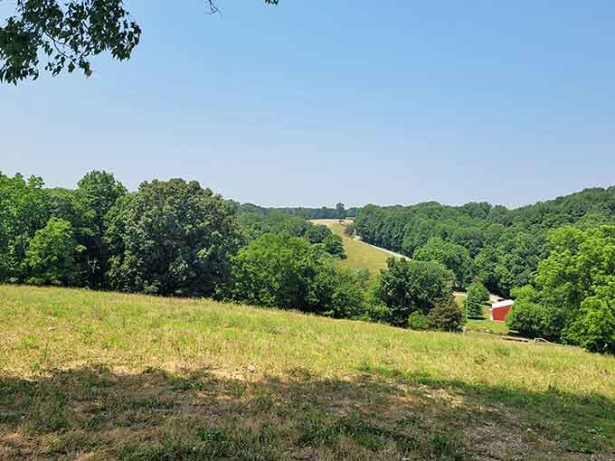 Rolling Kentucky hills that look like screensavers, except they're real and they're making your future favorite cheese possible.
