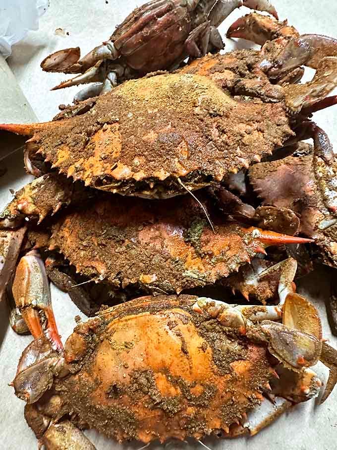 Steamed crabs dusted with seasoning like they've been kissed by the Old Bay fairy, this is what dreams taste like.