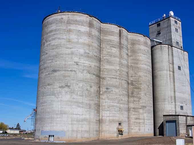These concrete grain elevators stand like monuments to when this place actually had something to store.