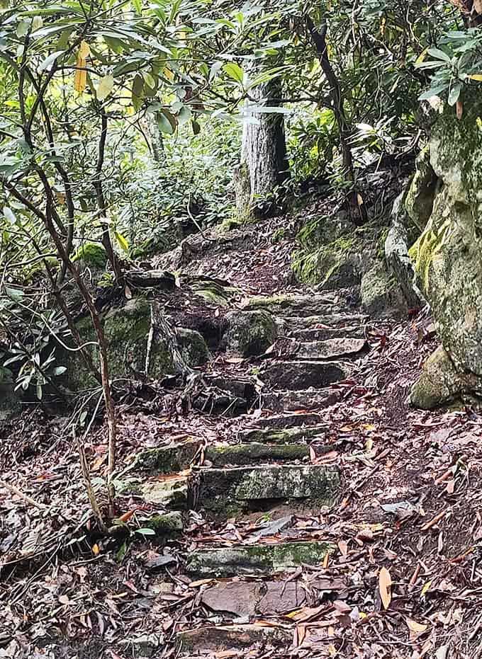 Stone steps carved by time and weather create a natural stairway that's infinitely more interesting than your gym's StairMaster.