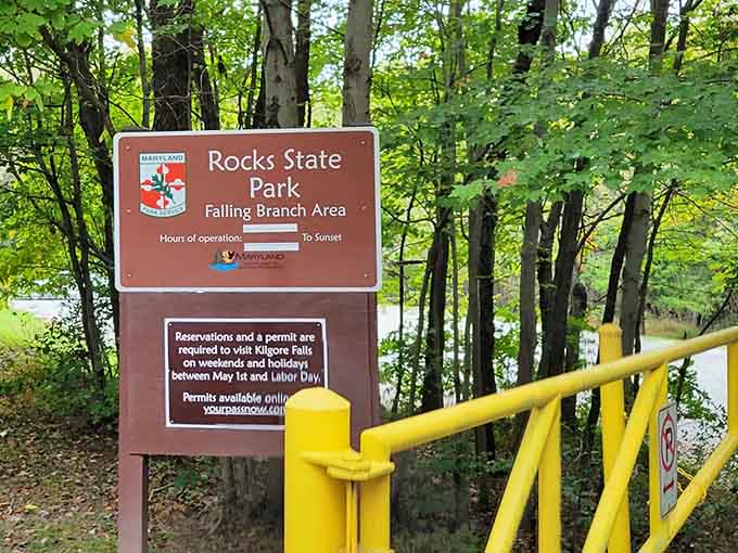 That cheerful yellow gate marks the entrance to adventure, like a friendly usher welcoming you to nature's theater.