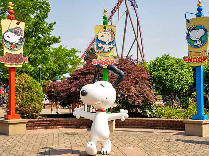 Good grief, Charlie Brown's best friend welcomes you with open arms and that signature beagle charm we've loved since childhood.
