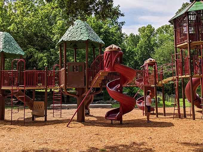 Neuseway Nature Park's playground equipment looks like it was designed by people who actually remember childhood fun.