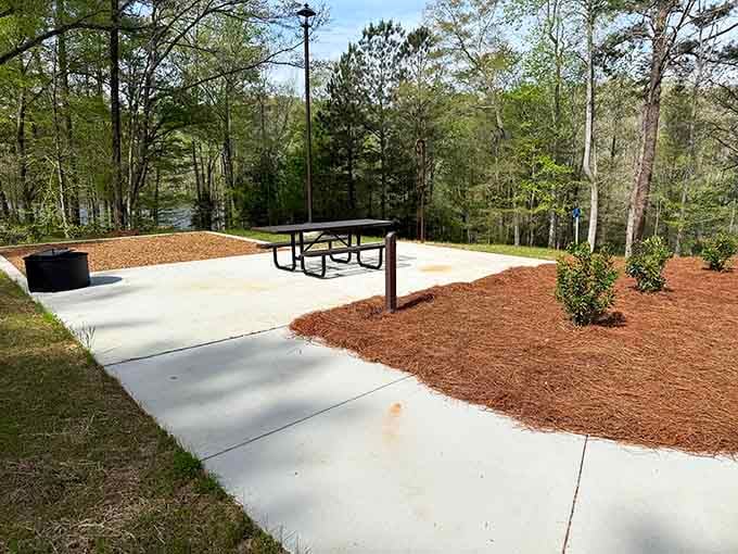 Modern picnic spots with lake views prove you don't need fancy restaurants for a memorable meal outdoors.
