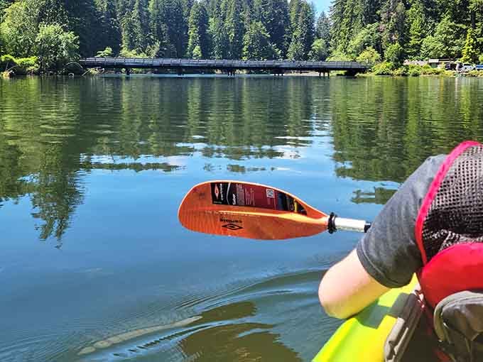 Nothing says peaceful morning like gliding across glass-smooth water with your paddle as the only soundtrack.