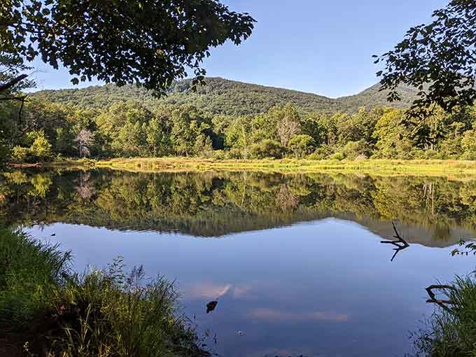 Blue Wall Preserve offers the kind of mountain reflection that makes you forget your phone exists for five whole minutes.
