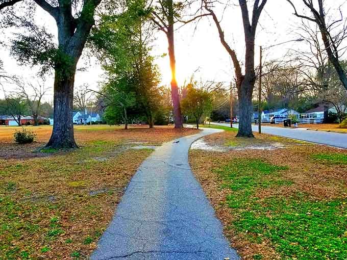 Hammond Park at golden hour, where nature puts on a free show better than anything on streaming services.