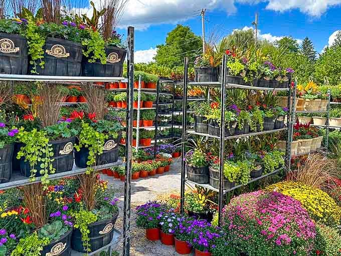 Garden center displays burst with flowers and trailing vines, tempting you to redecorate your entire yard immediately.