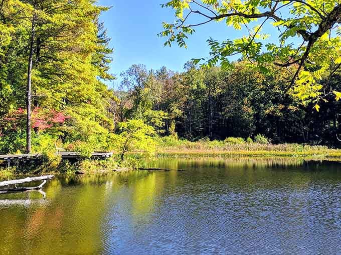 Pleasant Valley Wildlife Sanctuary offers nature trails where beavers work harder than most people you know.