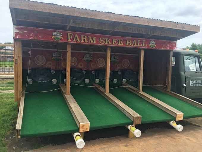 Farm Skee-Ball exists, and suddenly your childhood carnival memories just got a wholesome agricultural upgrade you didn't know you needed.