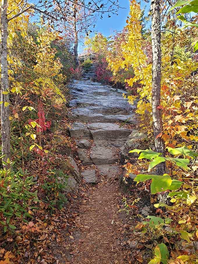 These stone steps lead you through an autumn wonderland that looks like a screensaver come to life.