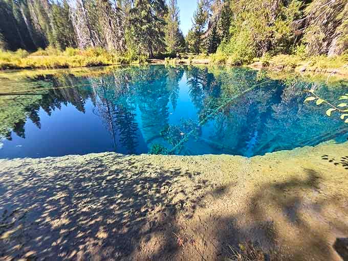 When the water's this still, you get two forests for the price of one, perfectly mirrored below.