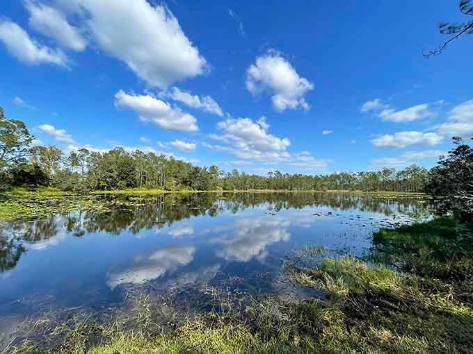 Mirror-perfect reflections like this make you wonder if the sky is showing off for the water.