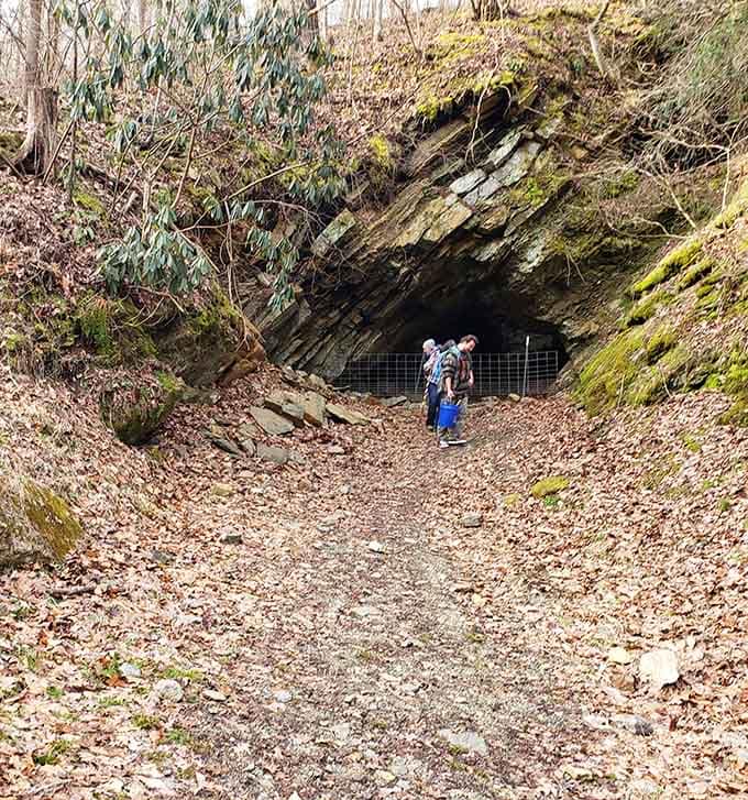 Exploring the cave entrance feels like stepping into an Indiana Jones movie, minus the rolling boulders and snake pits.