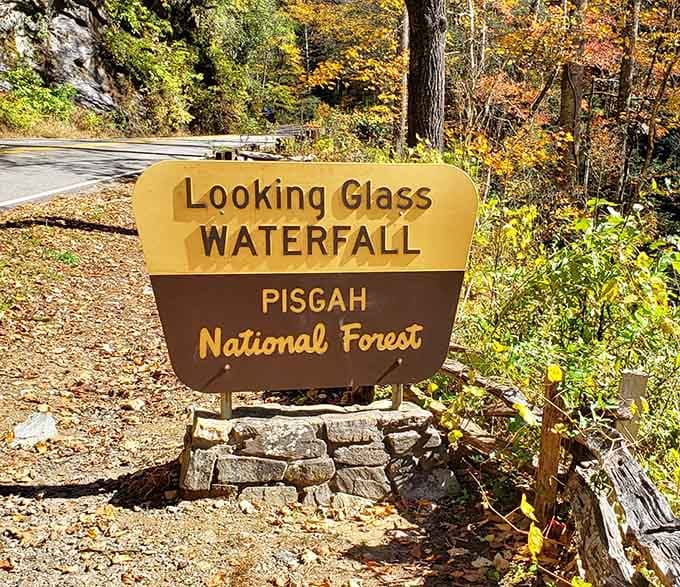 The sign that promises you're moments away from one of nature's greatest hits, roadside edition.