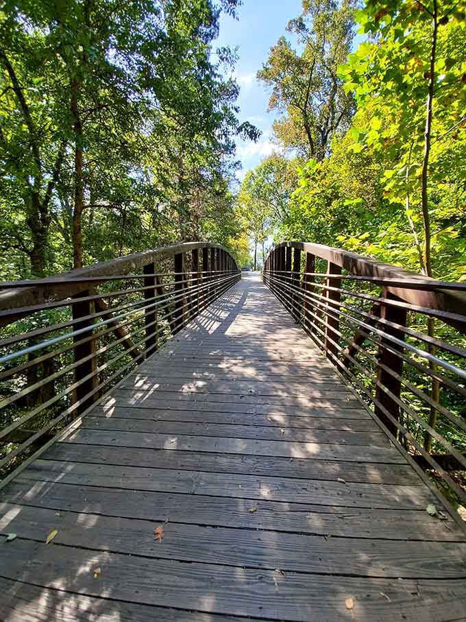 Wooden bridges guide you through the forest canopy, offering peaceful views that calm even the busiest minds.