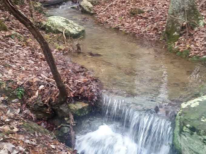 A gentle cascade feeds this tranquil pool, creating Alabama's answer to a natural infinity pool experience.