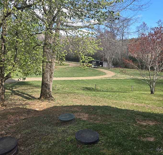 Rolling hills and winding paths remind you that North Carolina's countryside has been hiding some serious beauty all along.