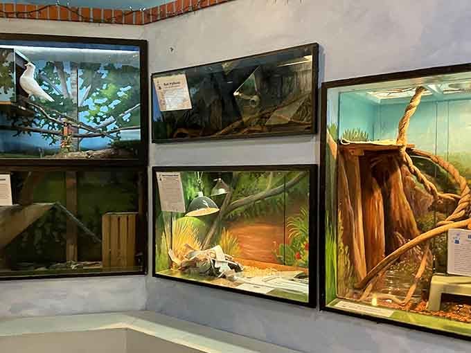 Multiple habitats showcase nature's diversity, from desert dwellers to aquatic creatures, all under one fascinating roof.