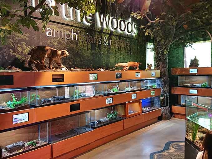 Where nature meets education, complete with displays that make learning about local wildlife actually interesting for everyone.