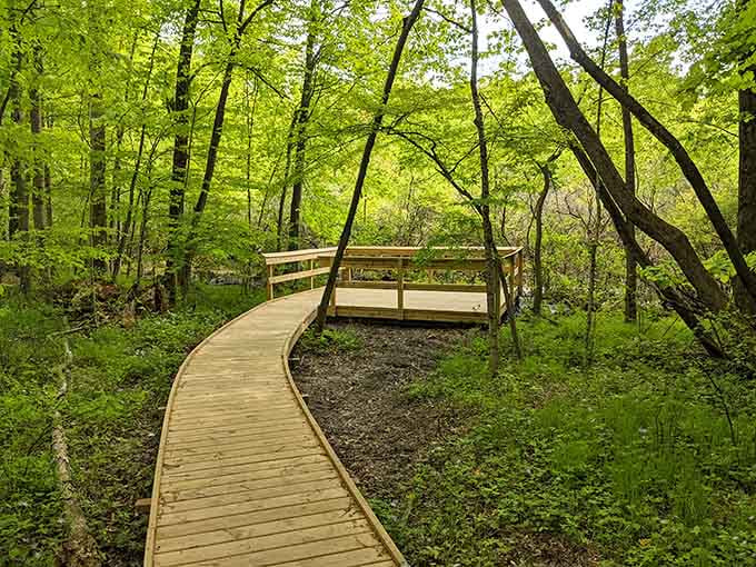 Nature trails that wind through green canopies, offering peace without requiring a wilderness survival course or bear spray.