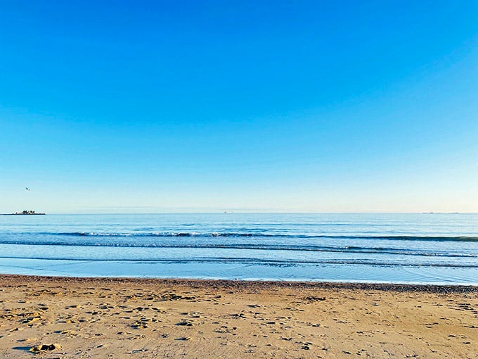 Devereux Beach stretches out in peaceful solitude, where sand meets sea without the usual summer chaos.