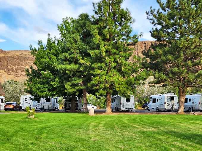 RV sites nestled under trees that know the value of providing shade when temperatures climb into the nineties.