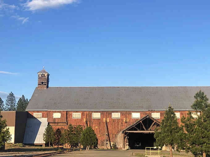 The old millworks building stands as a reminder that McCloud's lumber days were seriously impressive, architecturally speaking at least.
