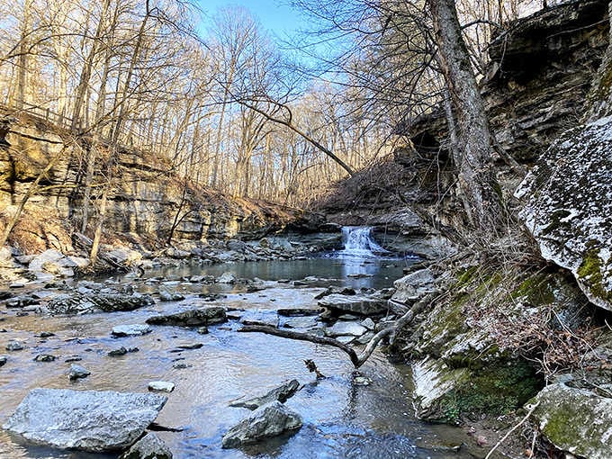 Winter turns the creek into a frozen postcard that no filter could ever improve upon.