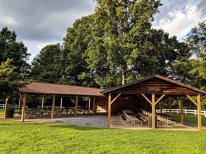 Perfect for family reunions, picnics, or just sitting and contemplating why you don't do this more often.