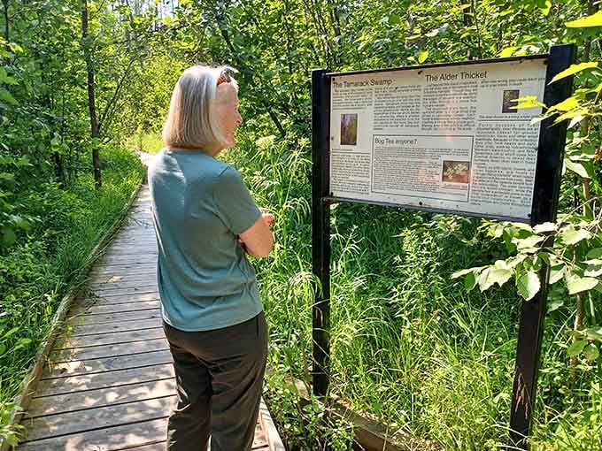 Educational signs along the trail reveal bog secrets, making every visitor a wetland detective for the day.