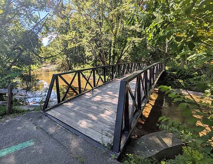 This charming footbridge proves the park knows how to blend natural beauty with accessible pathways perfectly.