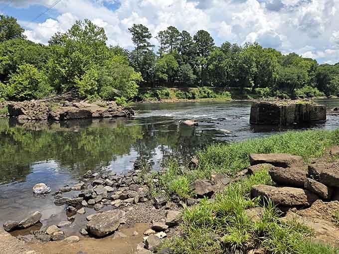 The Oconee River Greenway offers the kind of peaceful waterside views that make you forget your phone exists for a while.