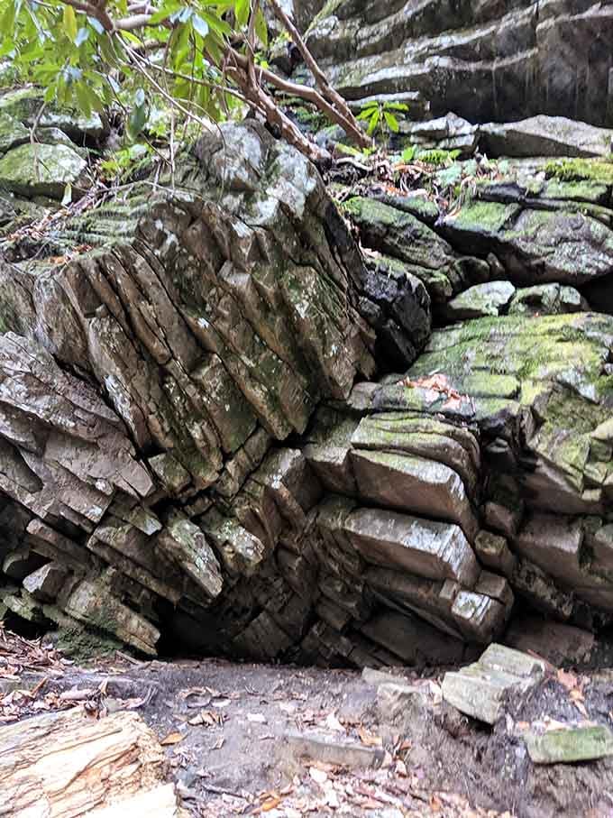 Ancient rock formations tell stories older than your favorite classic movie, layered with moss and time's patient artistry.