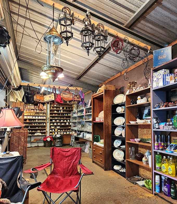 Vintage lamps hanging overhead like a chandelier showroom designed by someone's wonderfully eccentric great-aunt with impeccable taste.