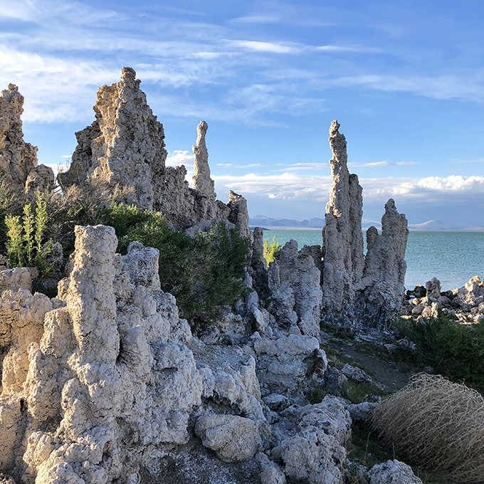 Walking among these calcium carbonate spires feels like exploring an alien landscape without leaving California.