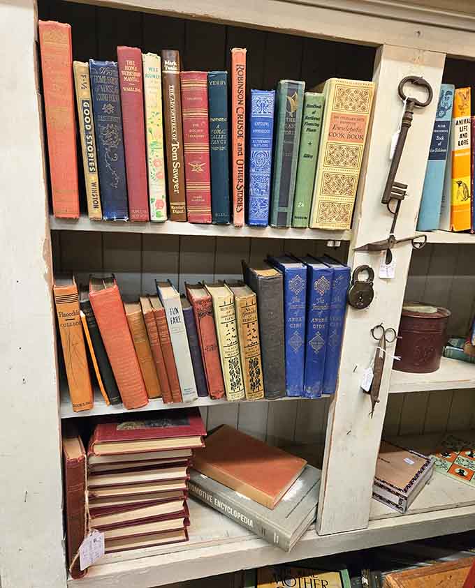 Vintage spines lined up like old friends, each one holding stories that survived longer than most marriages.