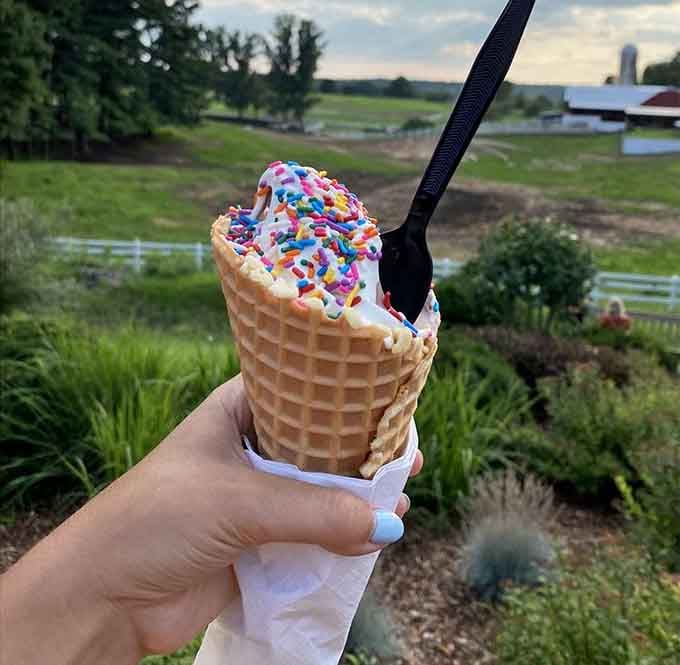 Vanilla soft serve with sprinkles against a farm backdrop: proof that simple pleasures are often the best ones.