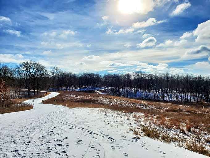 Winter transforms the trails into a serene wonderland where cross-country skiers glide through frosted silence like happy ghosts.